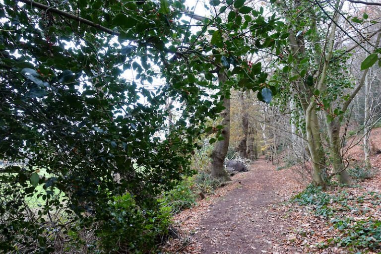 Helsby and Frodsham Hill Circular Walk